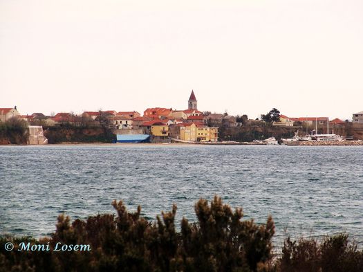 Privlaka – Kroatiens Fauna und Flora